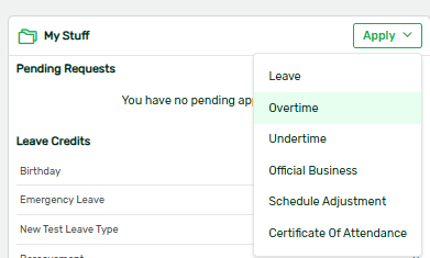 How to File for an Overtime (OT) Application