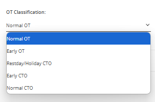 Compensatory Time Off (CTO)